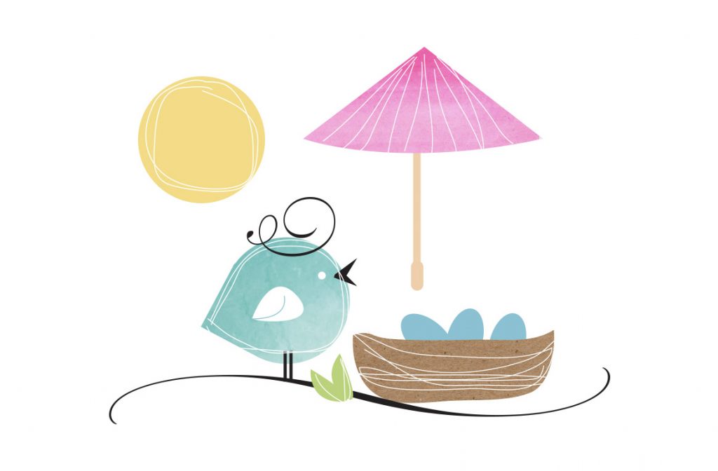 Illustration – Paula Rutledge